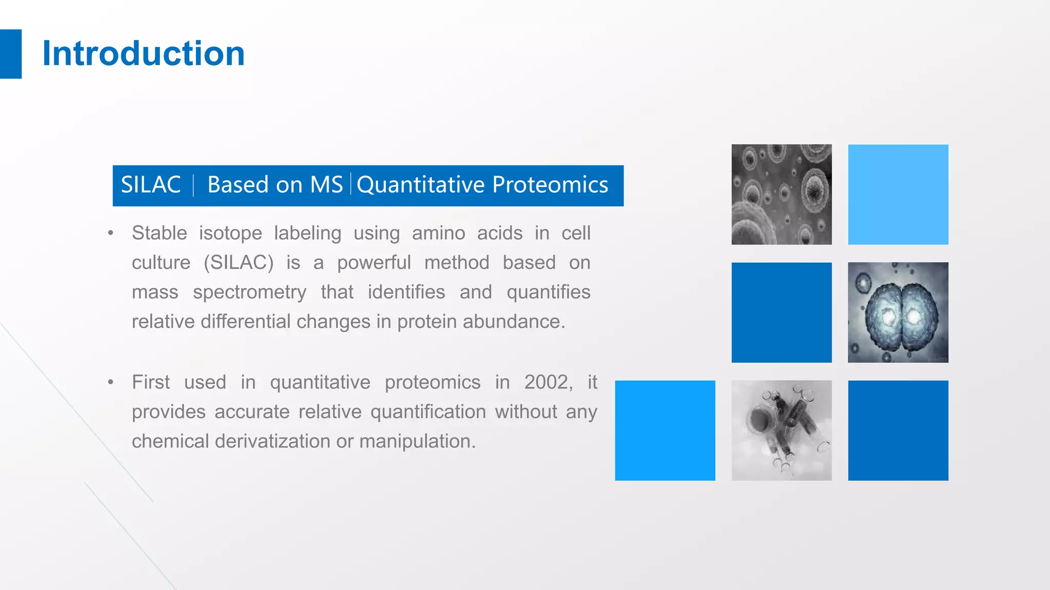 Brief Introduction of SILAC | PDF