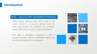 Brief Introduction of SILAC | PDF