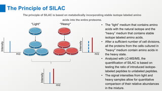 Brief Introduction of SILAC | PDF