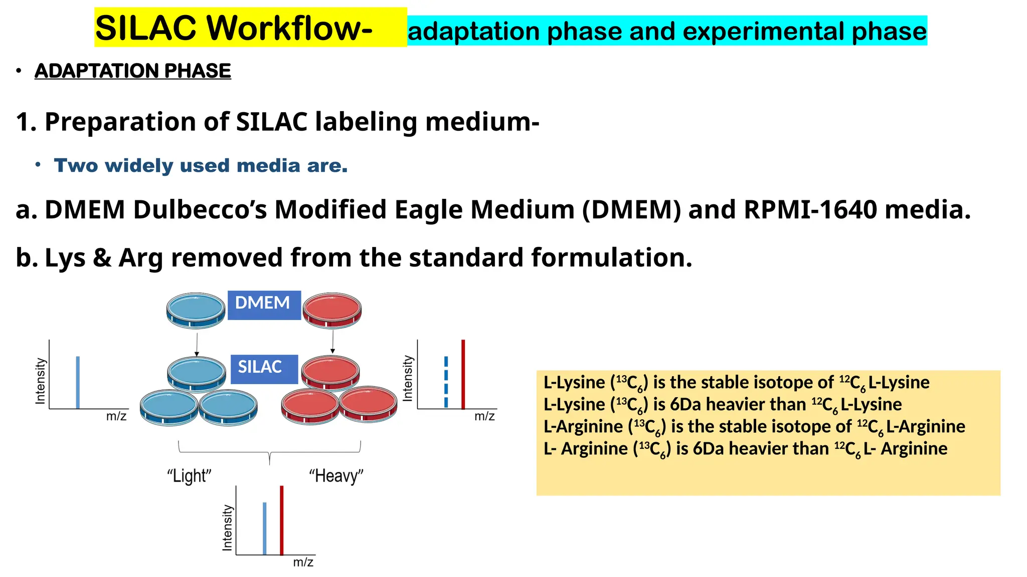SILAC hai kya practical copy of PPT.pptx