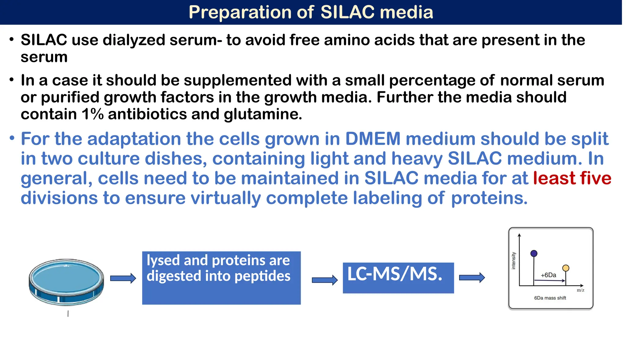 SILAC hai kya practical copy of PPT.pptx