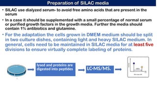 SILAC hai kya practical copy of PPT.pptx