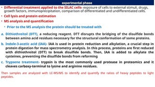 SILAC hai kya practical copy of PPT.pptx