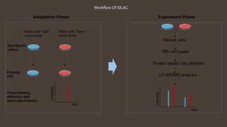 SILAC Technique | PPTX