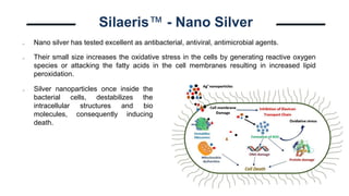 NanoSilver | PPTX