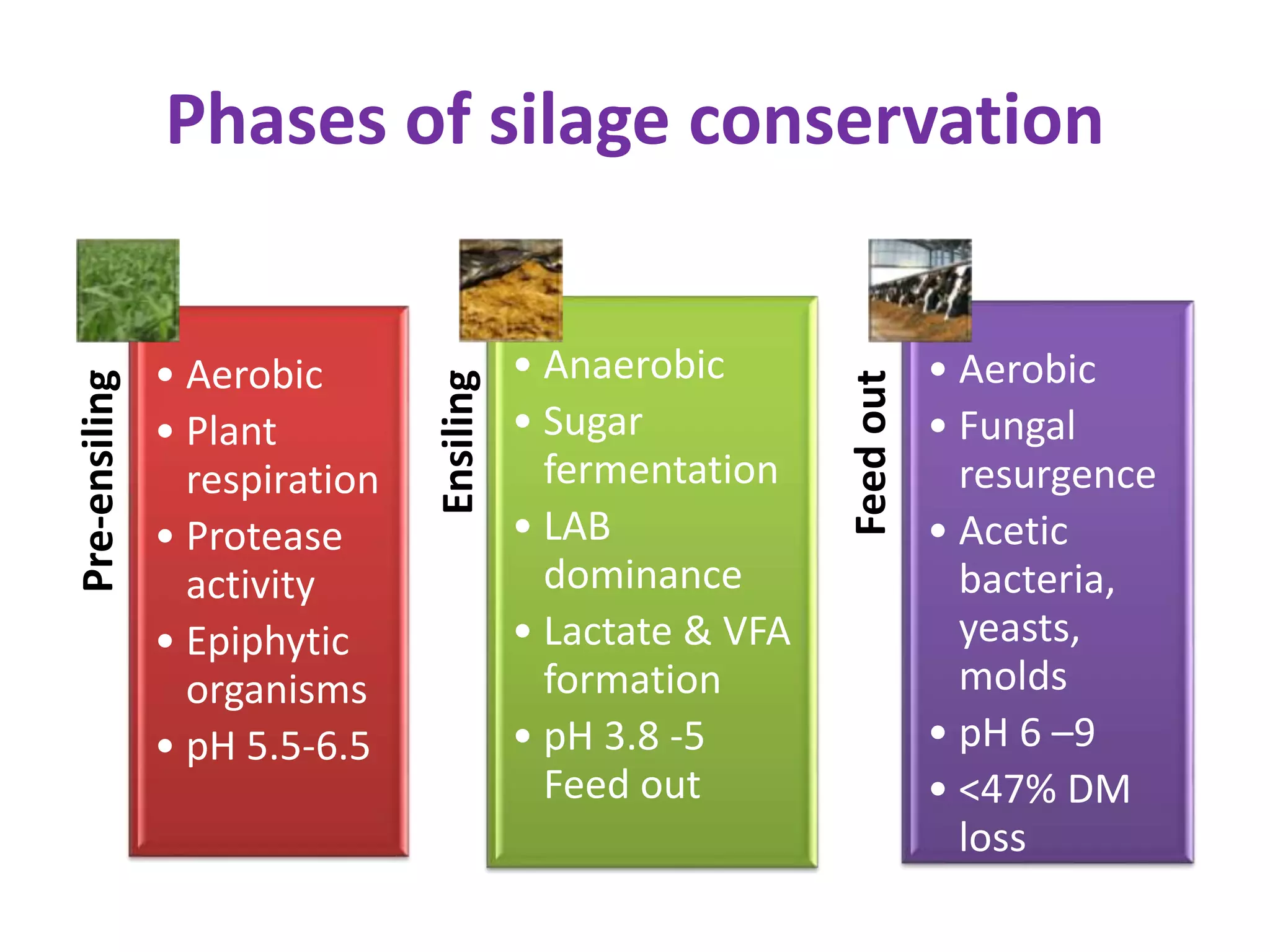 Silage | PPTX