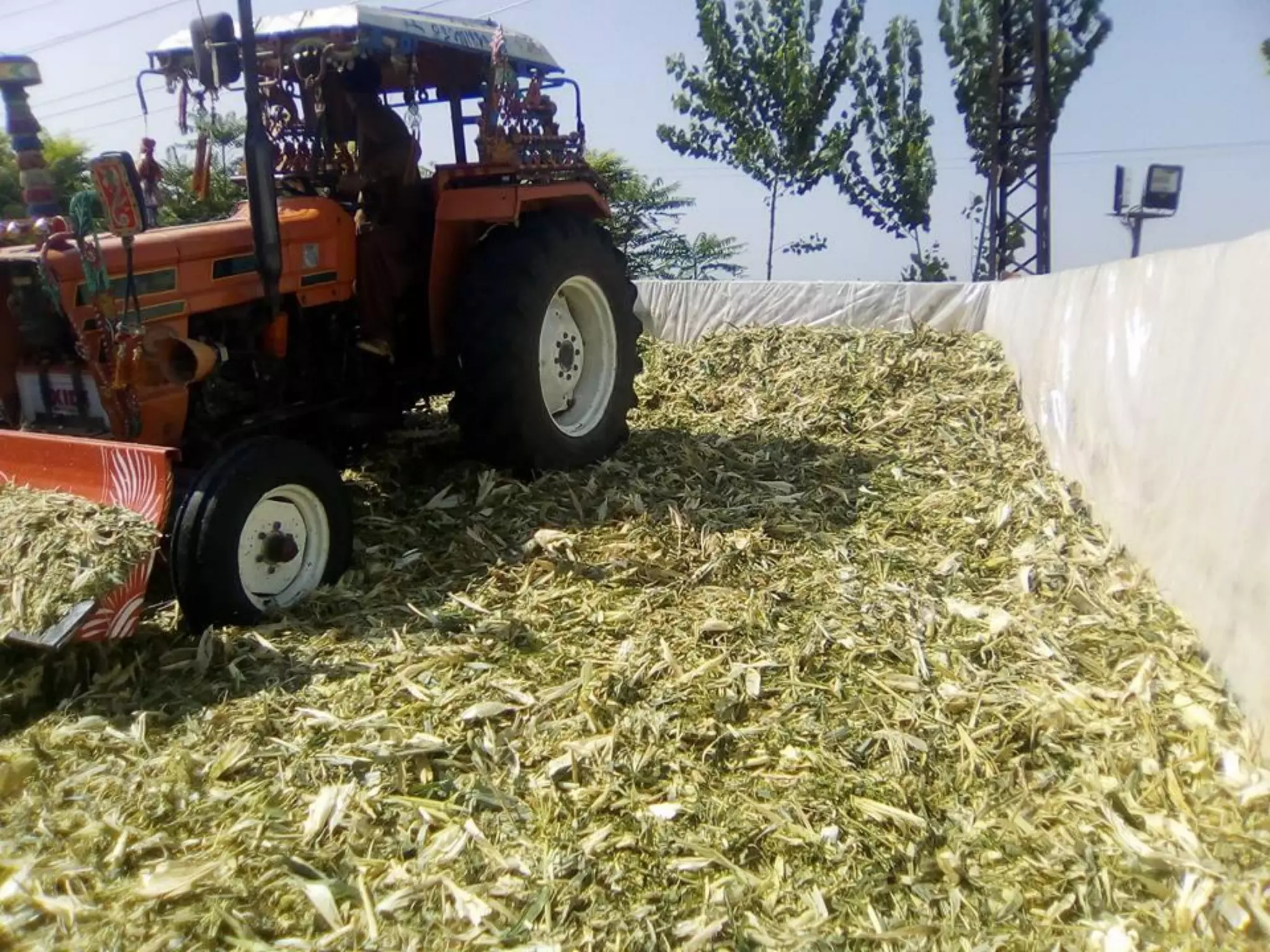 Silage making | PDF