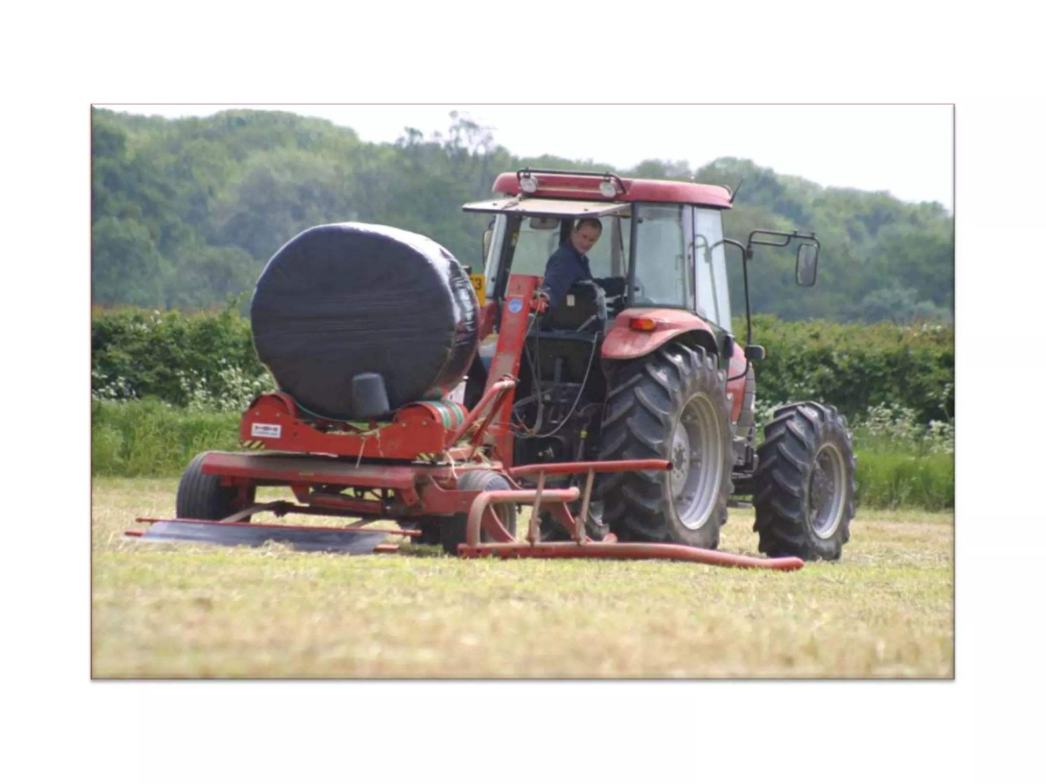 Silage making | PDF