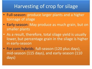 Silage making | PDF