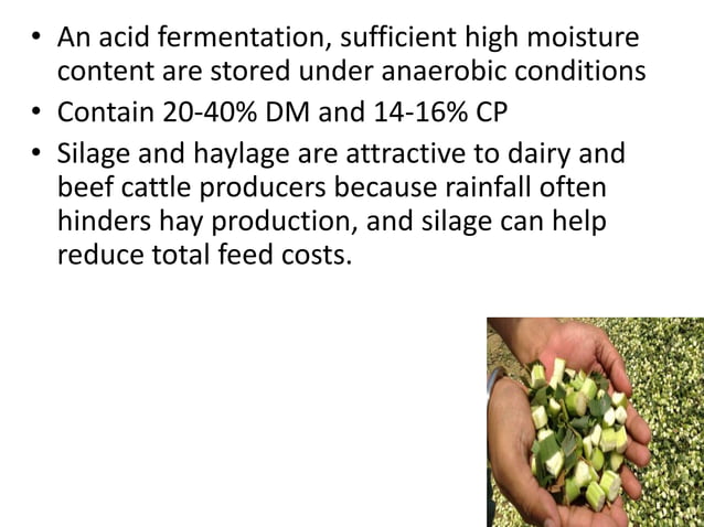 Silage making | PDF