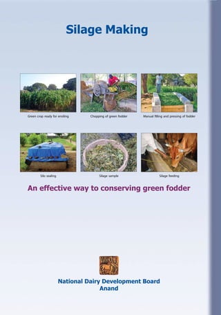 Silage making eng | PDF