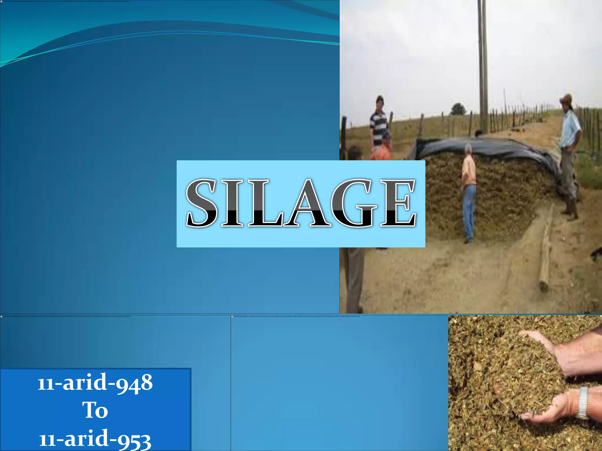 Silage | PPTX
