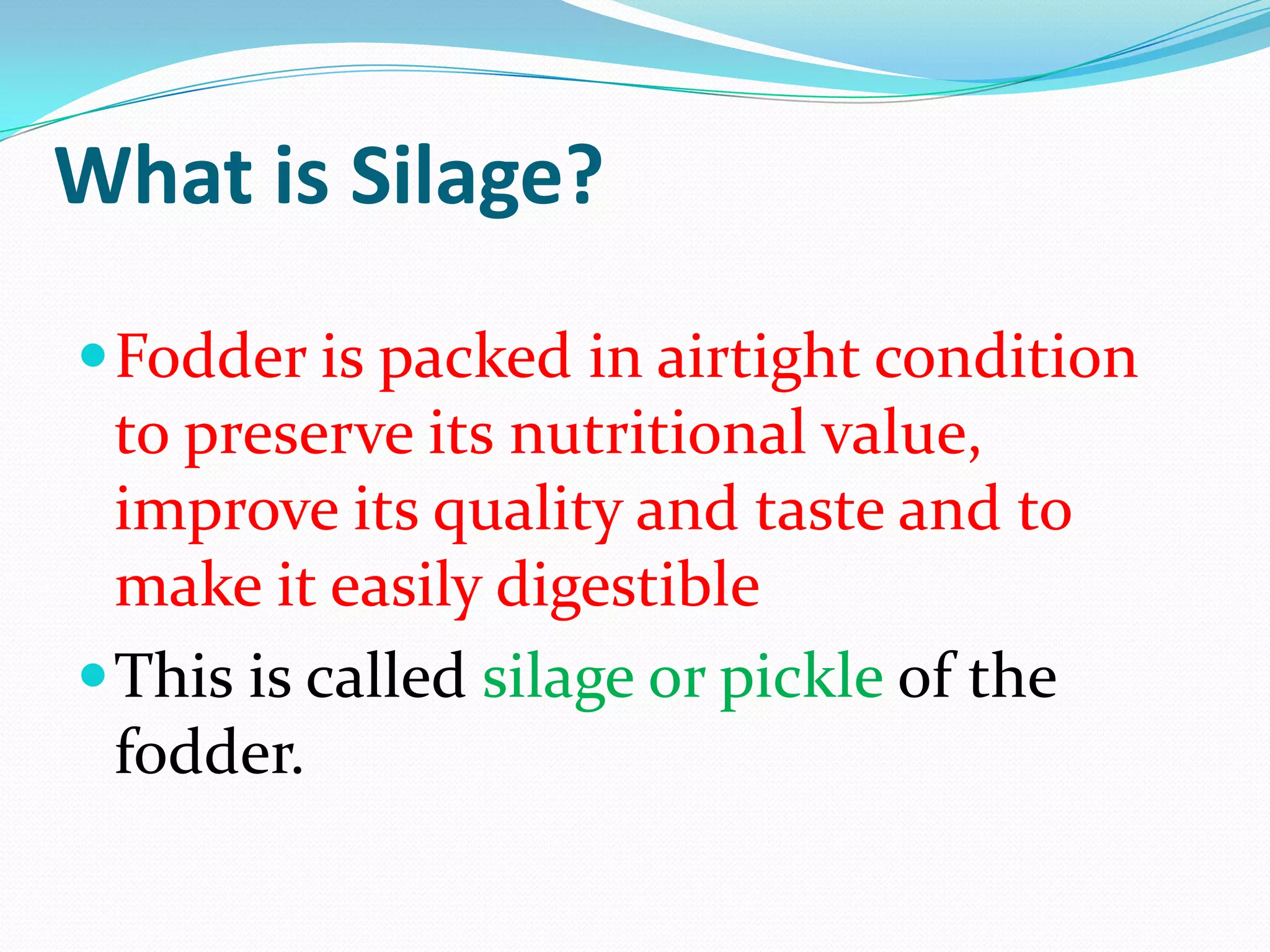 Silage | PPTX