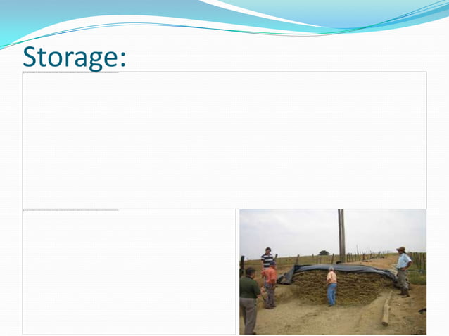 Silage | PPTX