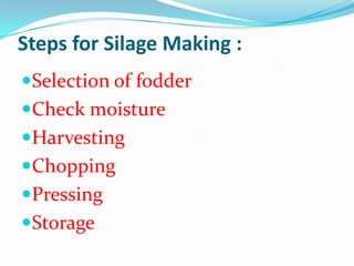 Silage | PPTX