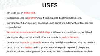 FISH SILAGE & FISH MEAL | PPTX