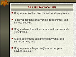 Si̇lajlik Misir Yeti̇şti̇ri̇ci̇li̇ği̇ | PPT