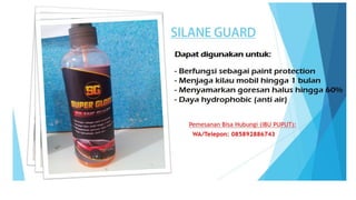 Silane guard | PDF