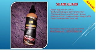 Silane guard | PDF