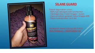 Silane guard | PDF