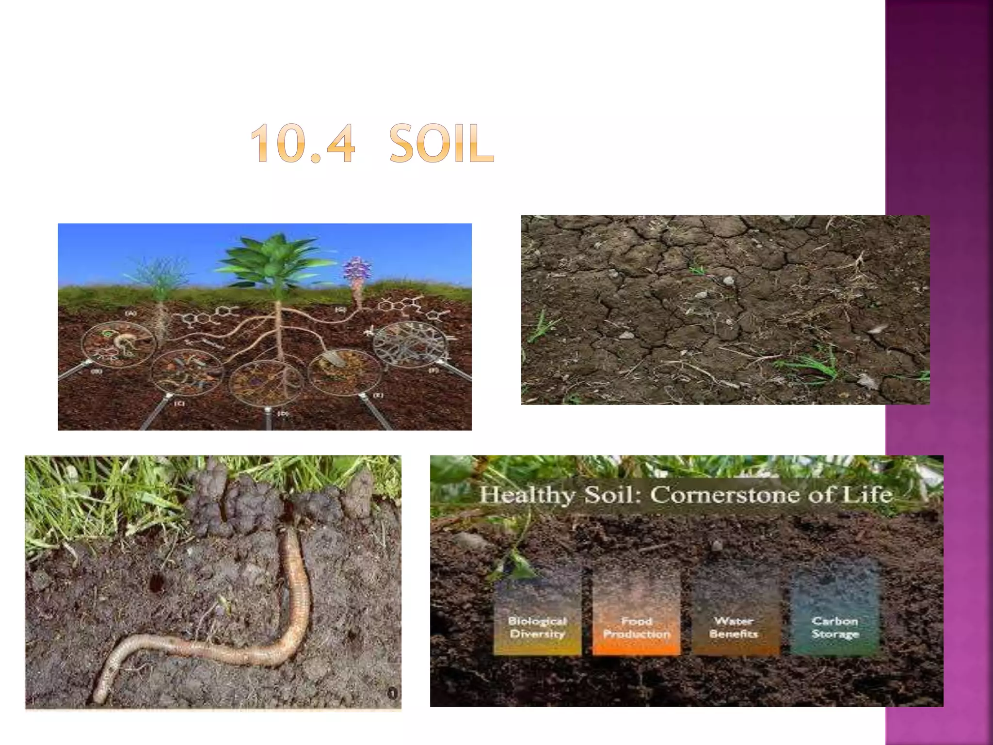 weathering, soil, and erosion | PPT