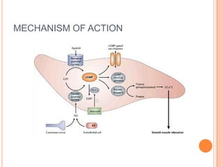 Sildenafil Mechanism
