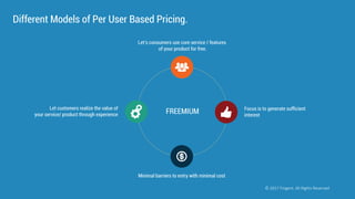 Developing the Most Profitable Cloud Pricing Model | PDF