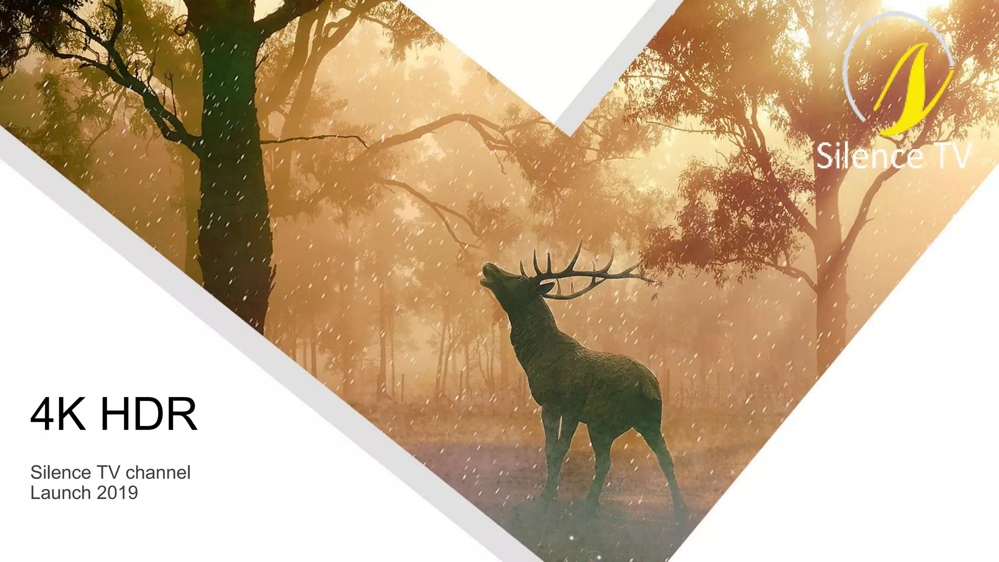 Silence TV 4k HDR | PDF