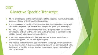 Silencing chromosome - treatment for down syndrome | PPT