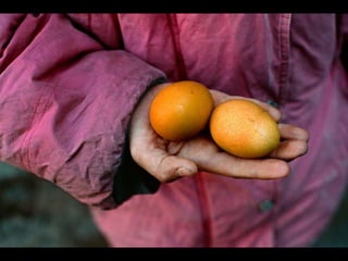 Silent Language of Hands- Photographer Steve McCurry | PPSX