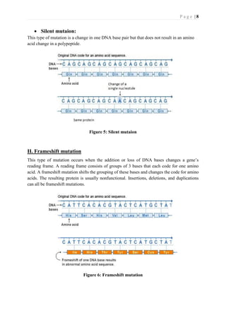 Silent mutation | DOCX