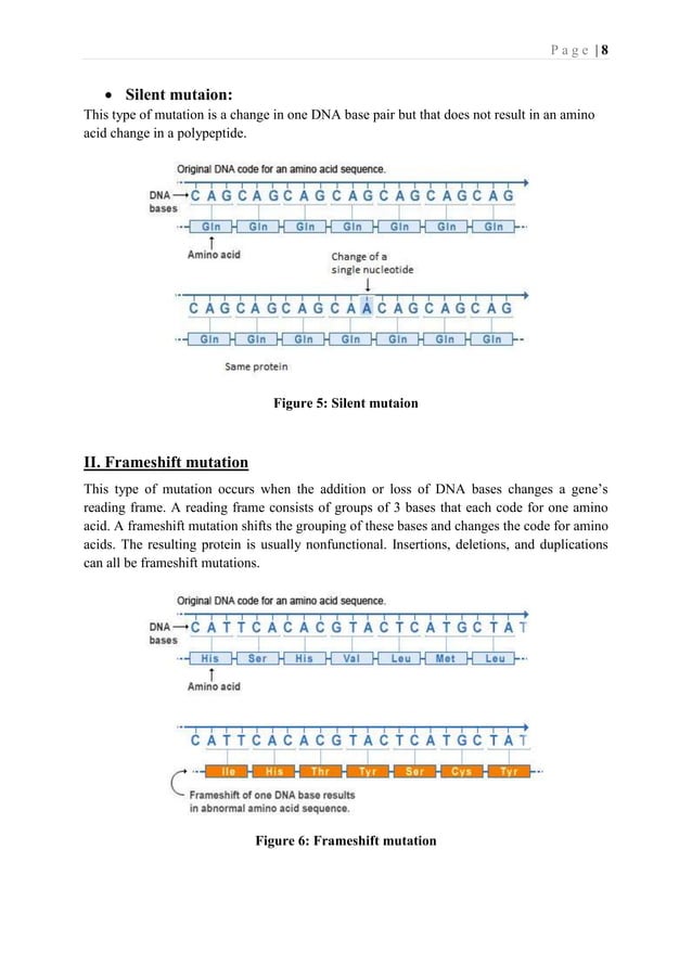 Silent mutation | DOCX