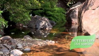 Silent valley case study | PPTX