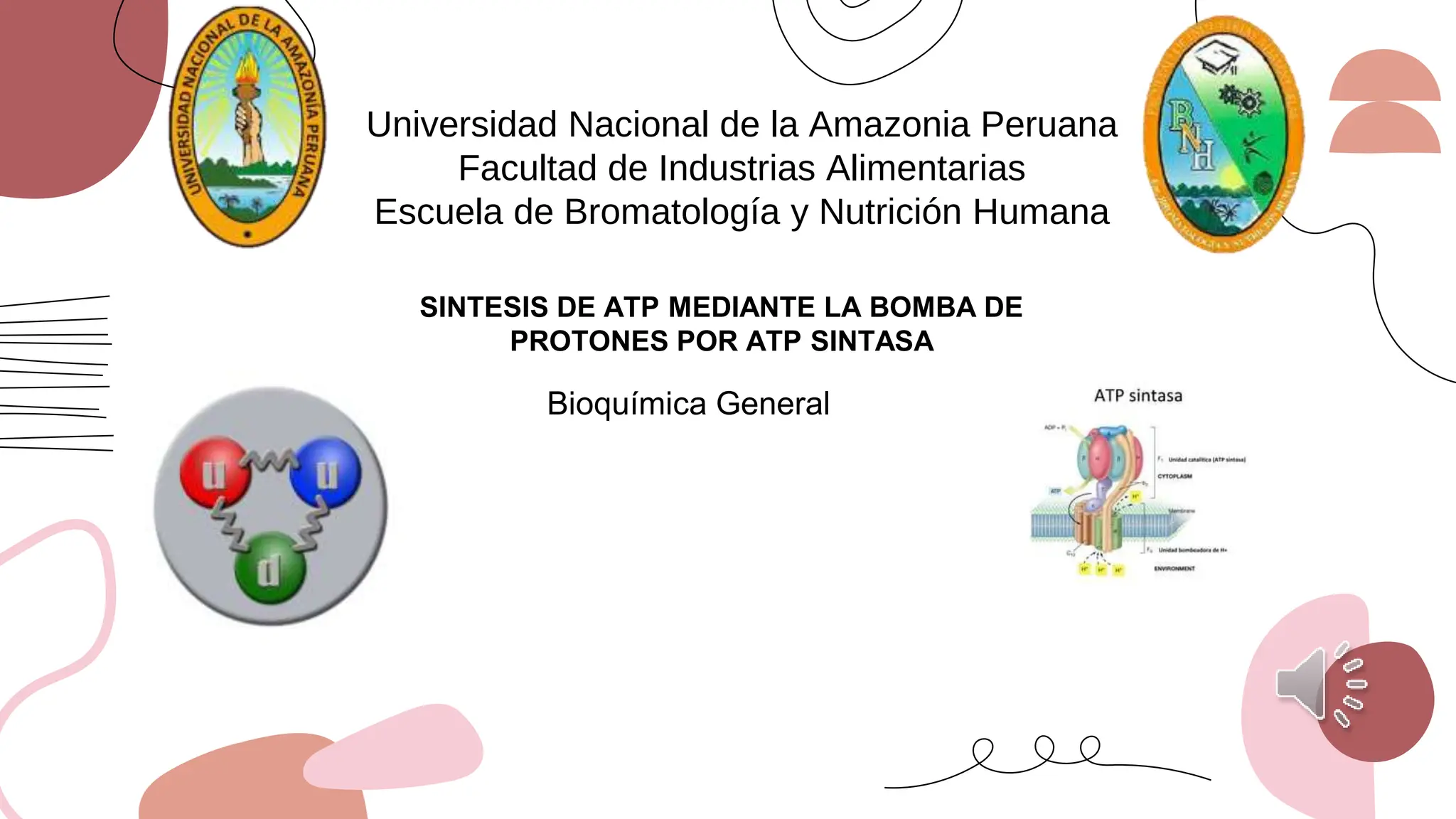 SÍNTESIS DE ATP MEDIANTE LA BOMBA DE PROTONES | PPTX