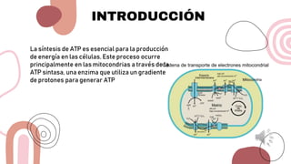 SÍNTESIS DE ATP MEDIANTE LA BOMBA DE PROTONES | PPTX
