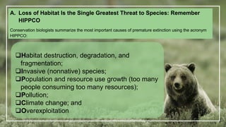 Silhouette Brown Bear PowerPoint Templates.pptx