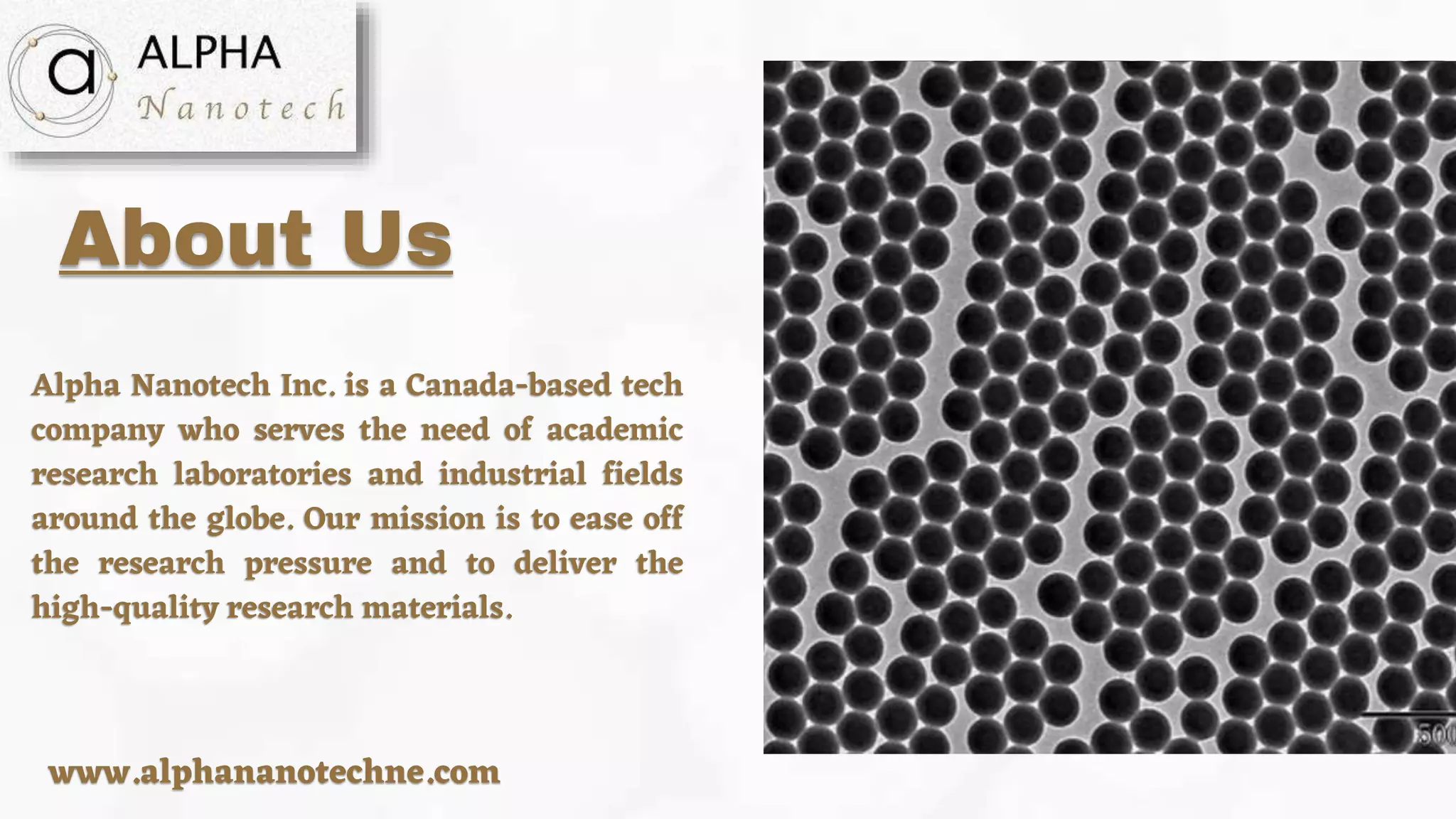 Silica Nanoparticles.pptx