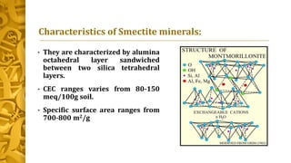 Silicate clay.(Morshed) | PPTX | Chemistry | Science