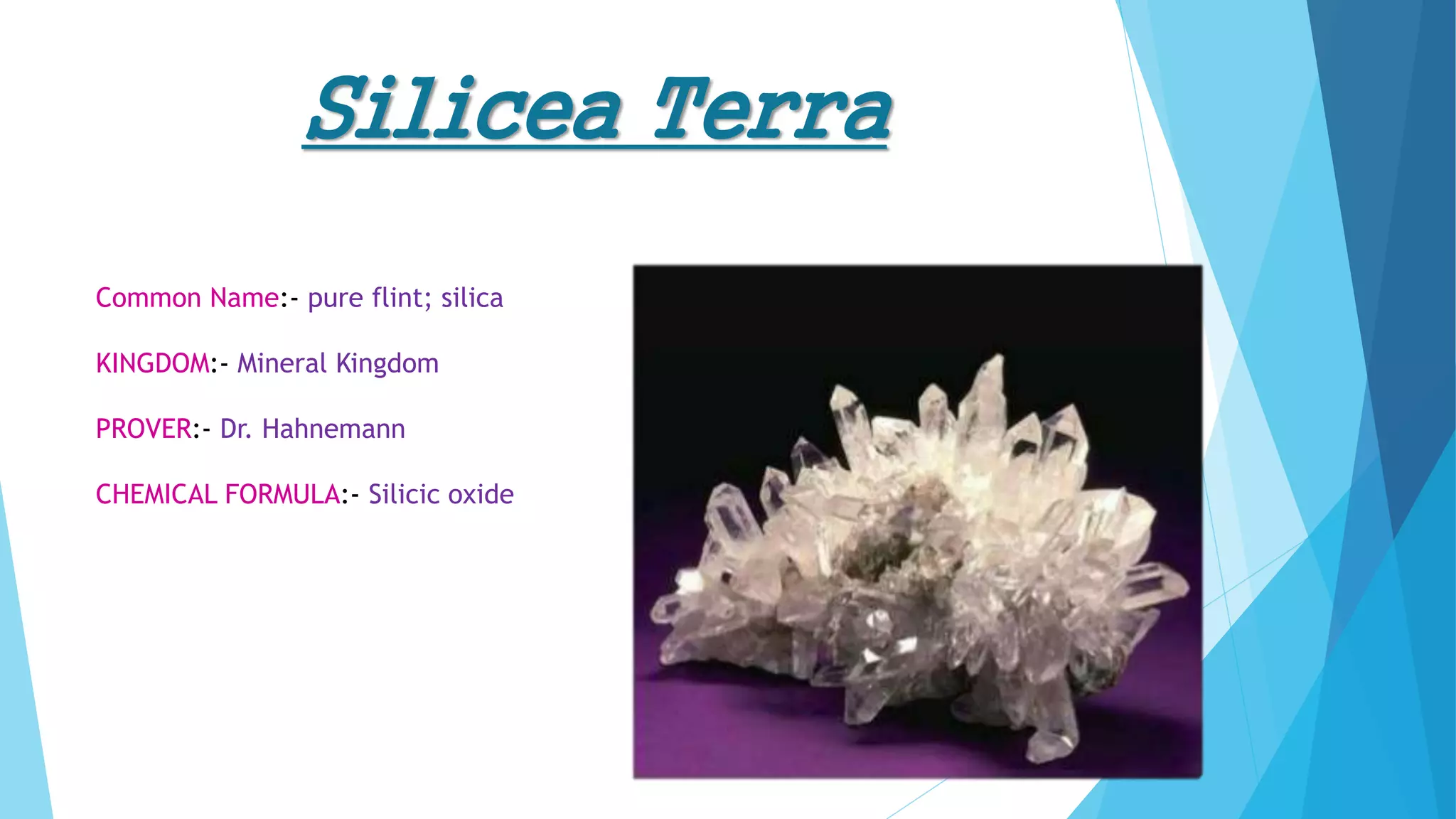 Silicea terra | PPTX