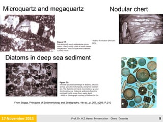 Siliceous sedimentary deposits | PPT