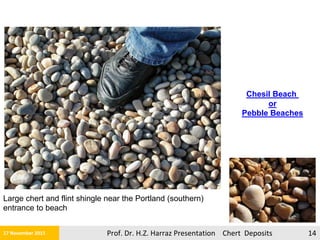 Siliceous sedimentary deposits | PDF