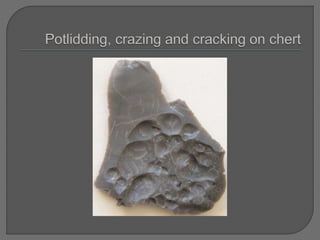 Siliceous sediments | PPTX
