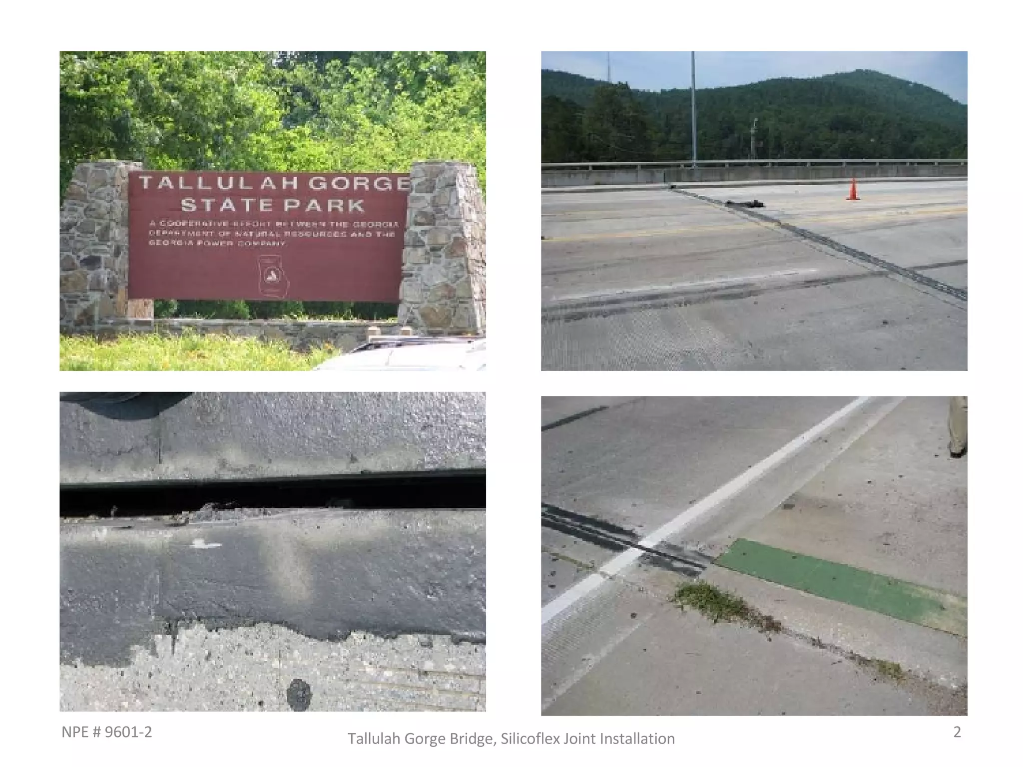 (Silicoflex) Npe# 9601 2 Tallulah Gorge Bridge | PPT