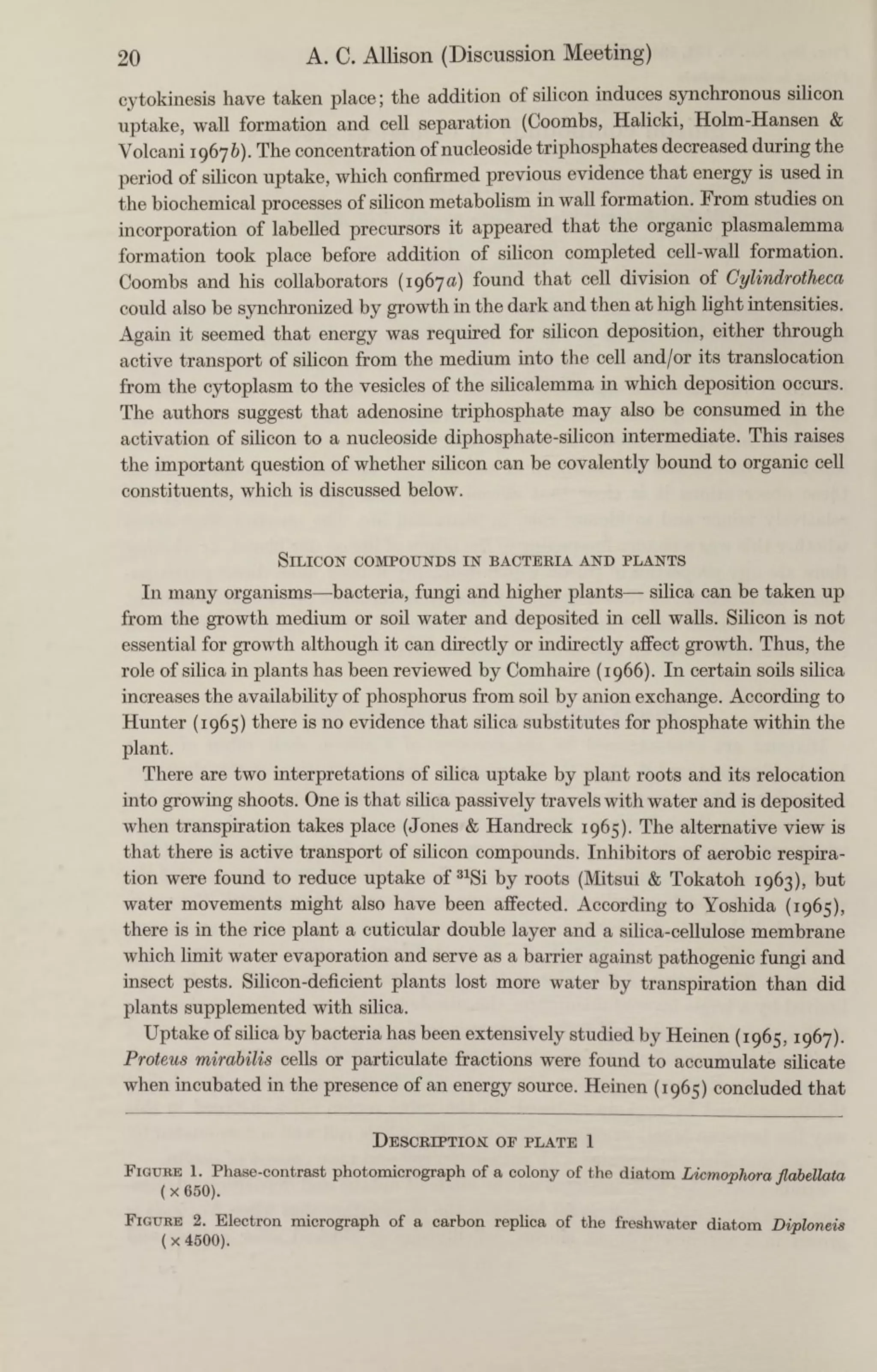 Silicon compounds in biological systems | PDF