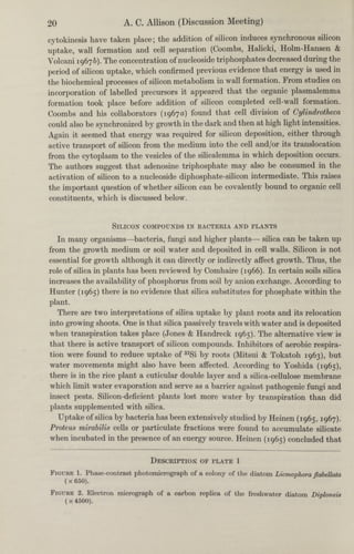 Silicon compounds in biological systems | PDF