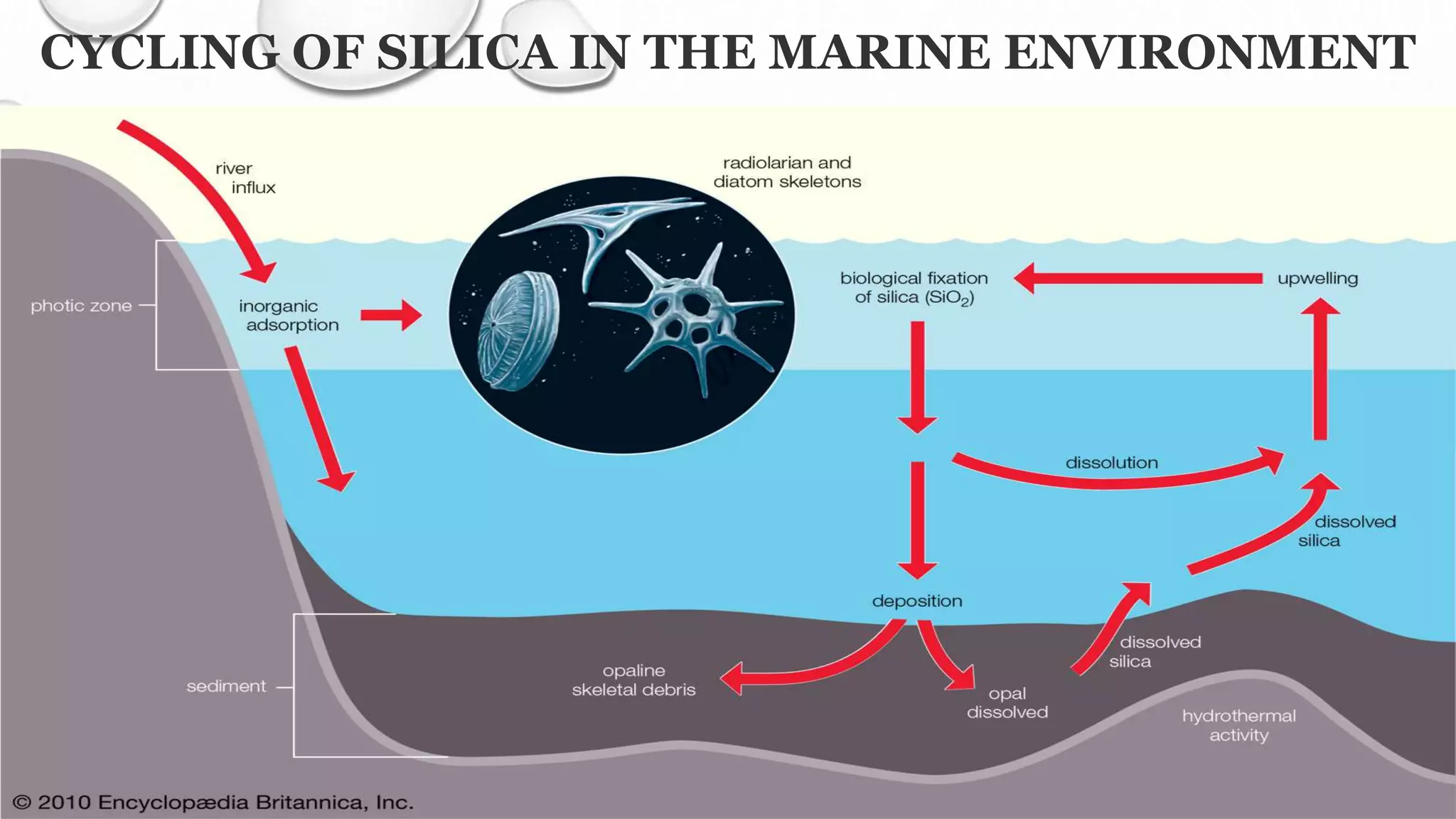 Silicon cycle ppt | PPTX