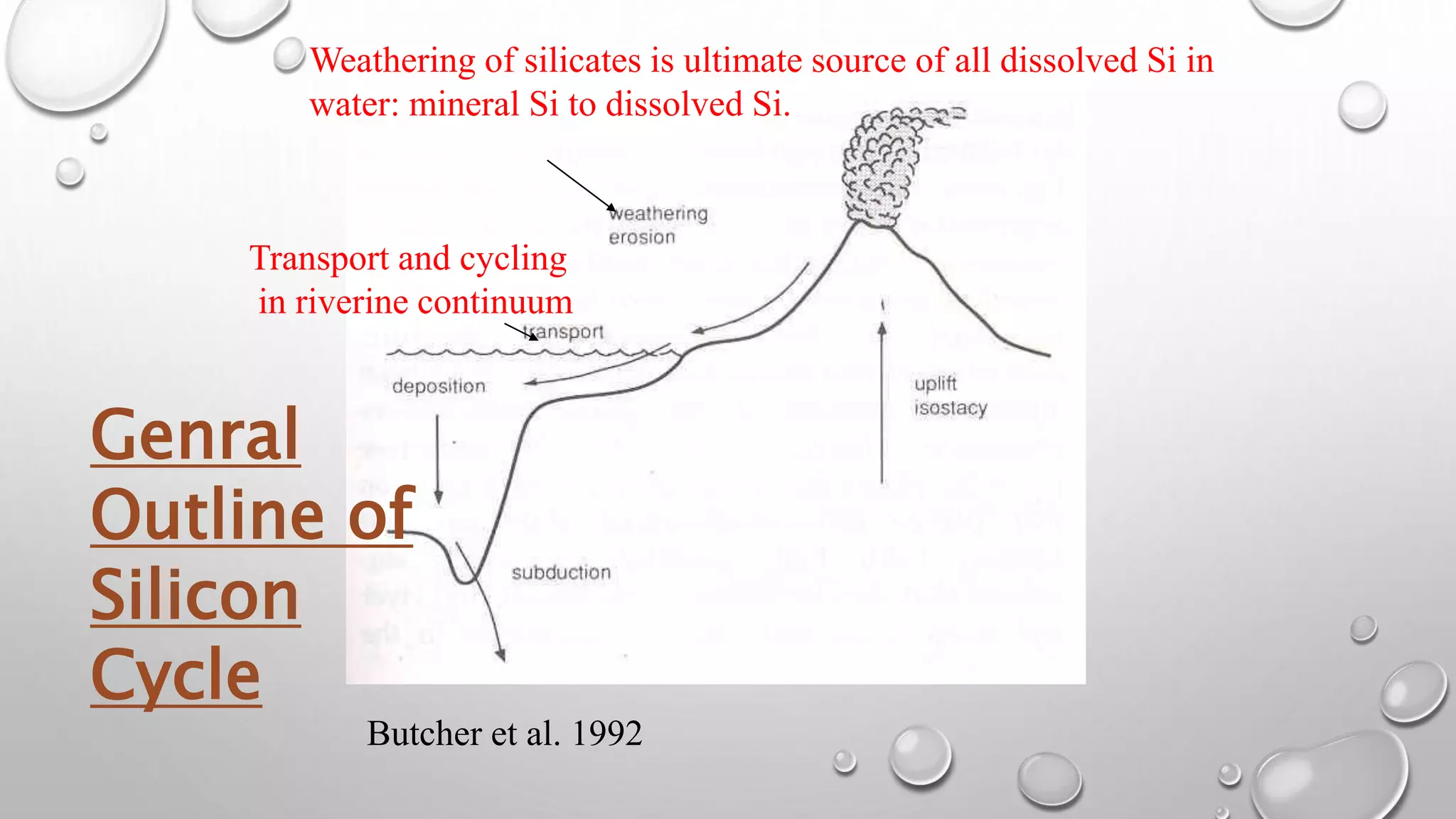 Silicon cycle ppt | PPTX