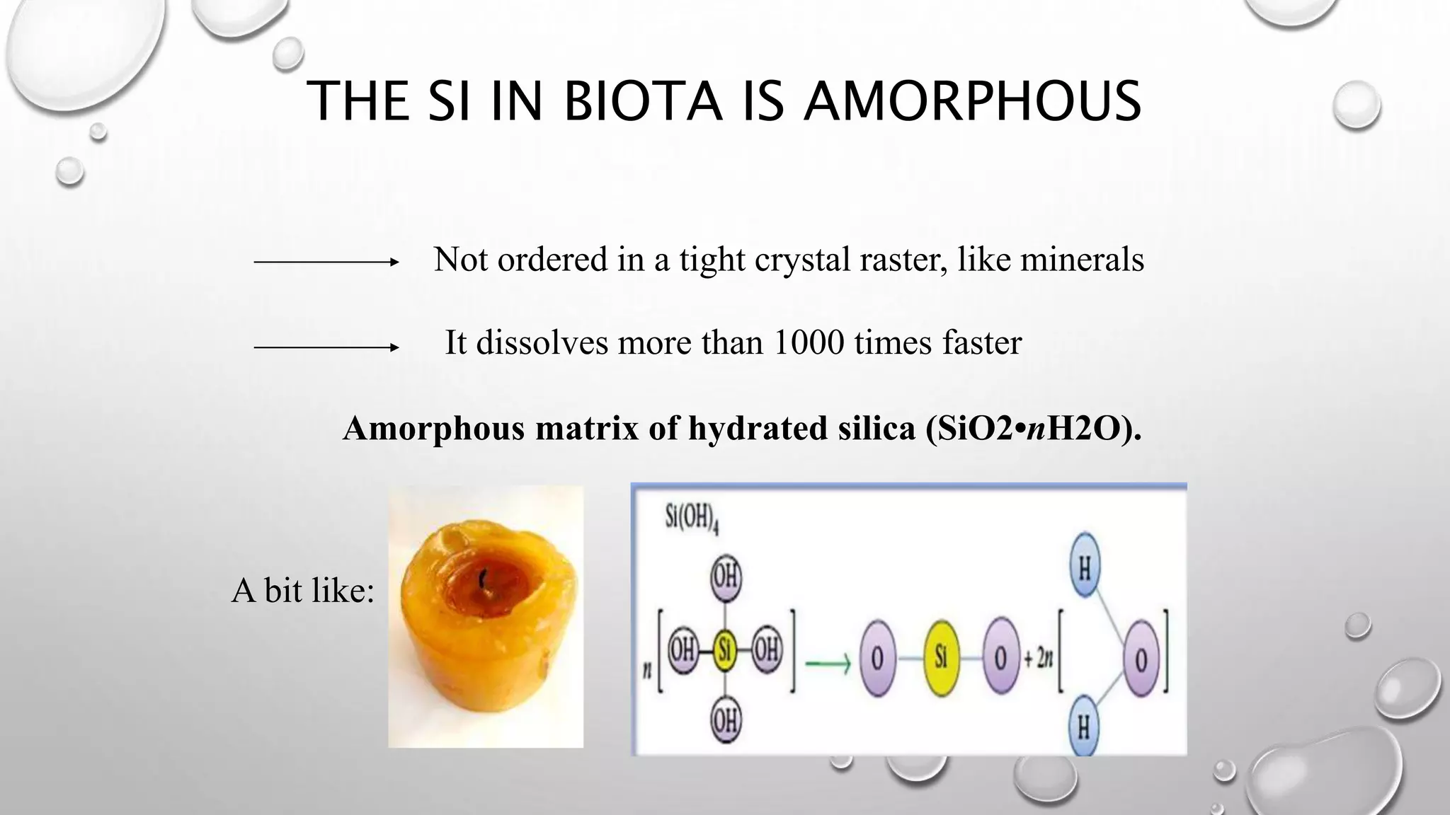Silicon cycle ppt | PPTX