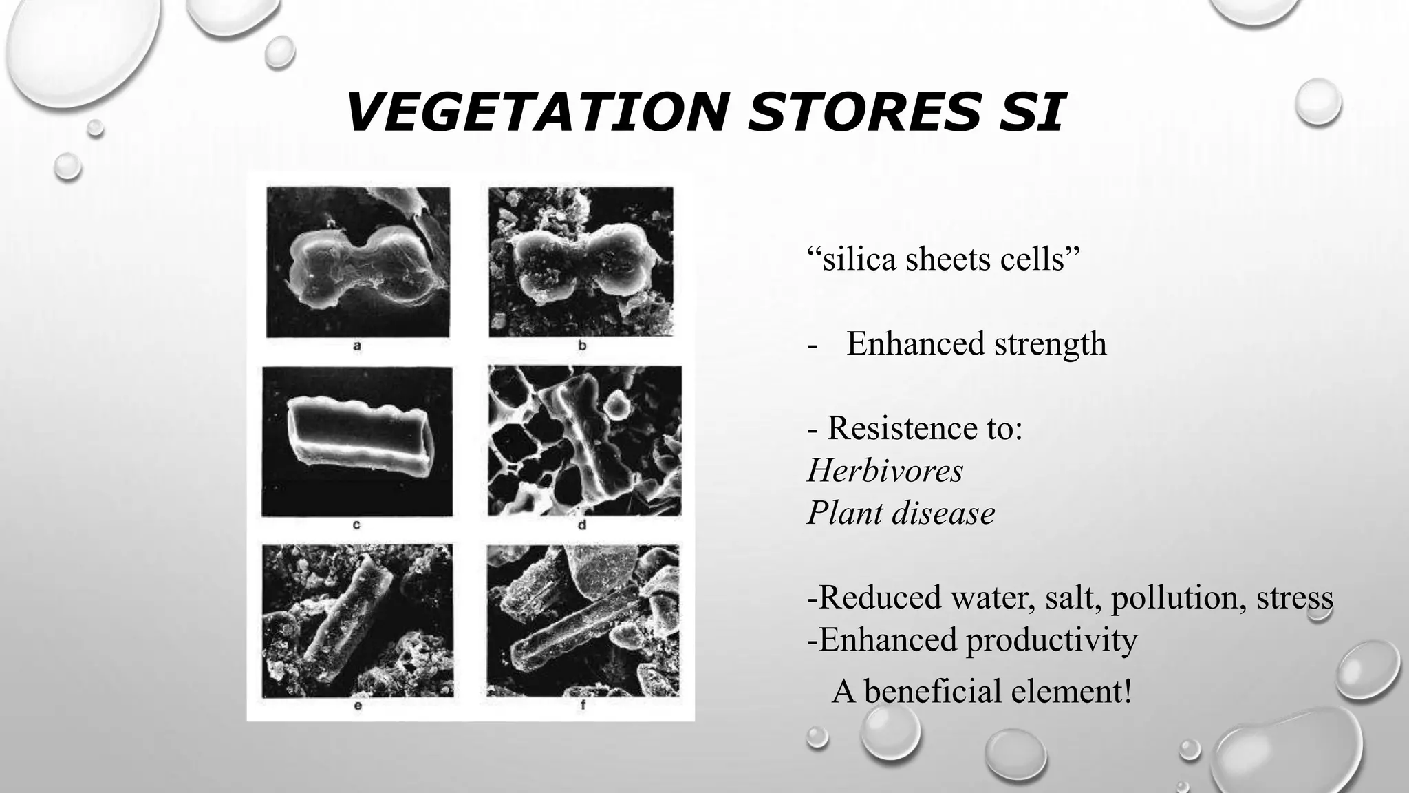 Silicon cycle ppt | PPTX