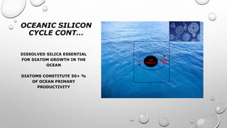 Silicon cycle ppt | PPTX